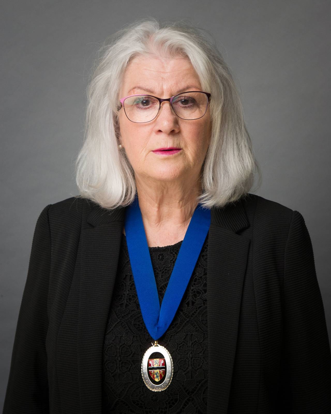 Vice-Chairman of the Council – The current Chairman and Vice-chairman ...